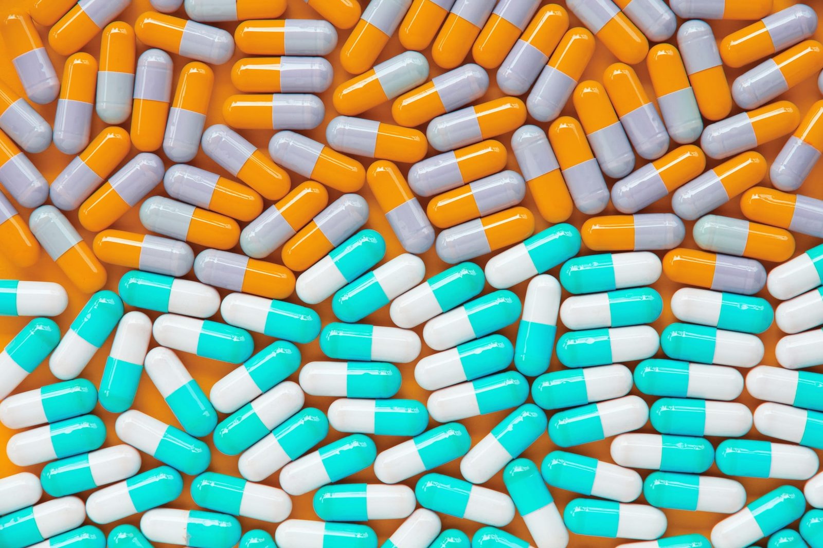 pharmaceutical excipients - Landercoll Cellulose Ethers